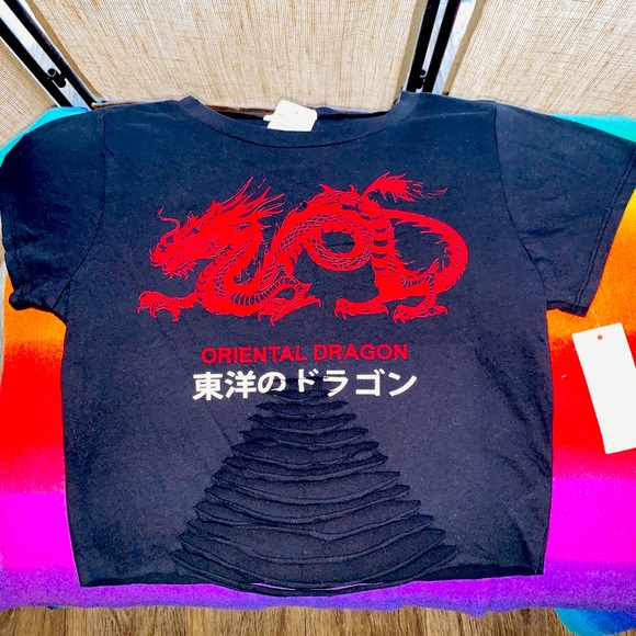 Tops | Ancient Chinese Secret Midriff Shirt | Poshmark